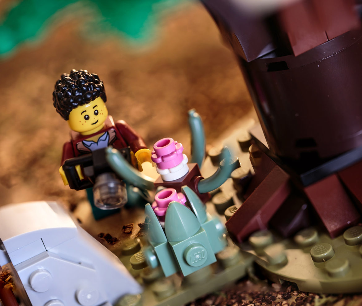 REVIEW: LEGO 31116 CREATOR 3-IN-1 SAFARI WILDLIFE TREE HOUSE - BrickCentral