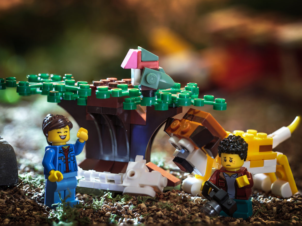 REVIEW: LEGO 31116 CREATOR 3-IN-1 SAFARI WILDLIFE TREE HOUSE - BrickCentral