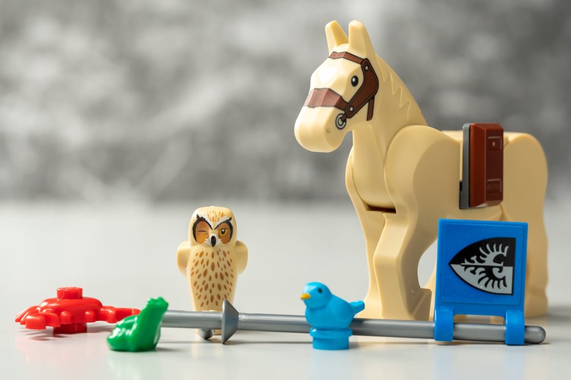 Review: LEGO BrickLink Castle in the Forest 910001 - BrickCentral