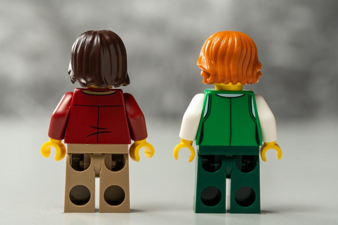 Review: LEGO BrickLink Castle in the Forest 910001 - BrickCentral