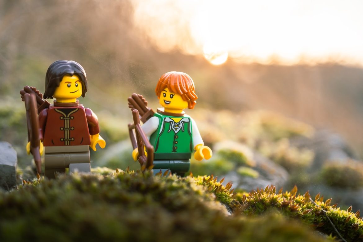 Review: LEGO BrickLink Castle in the Forest 910001 - BrickCentral