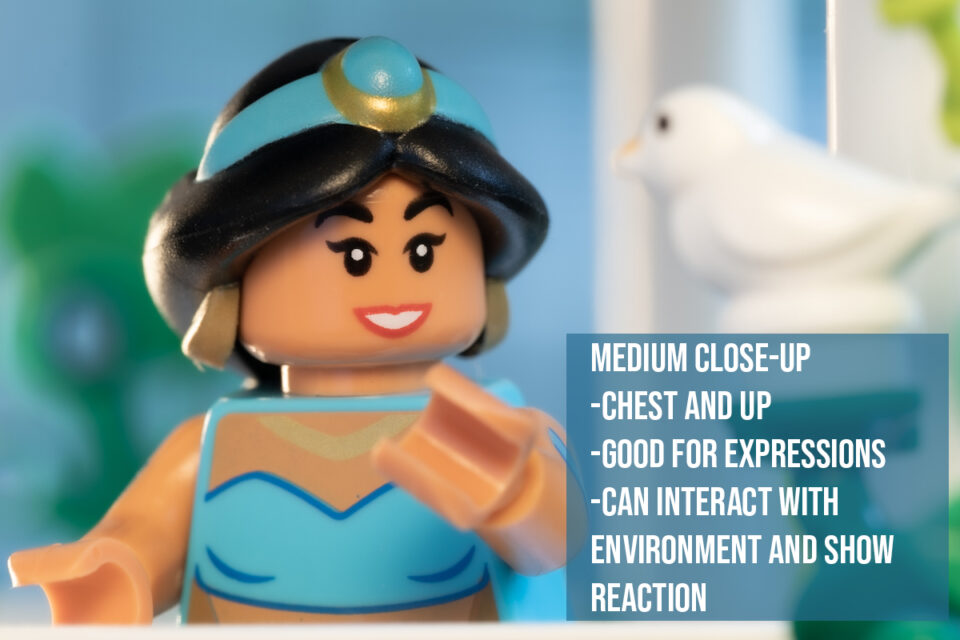 Framing Camera Shots - BrickCentral