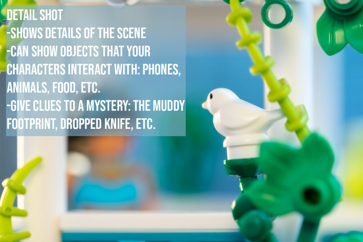 Framing Camera Shots - BrickCentral