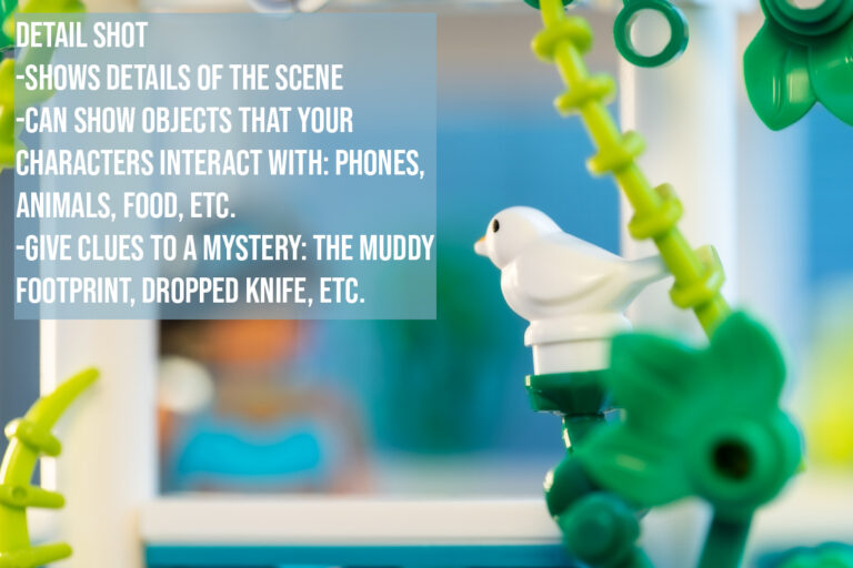 Framing Camera Shots - BrickCentral