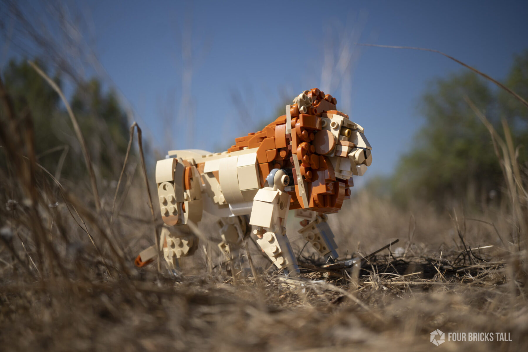 Review: Wild Safari Animals 31150 - BrickCentral