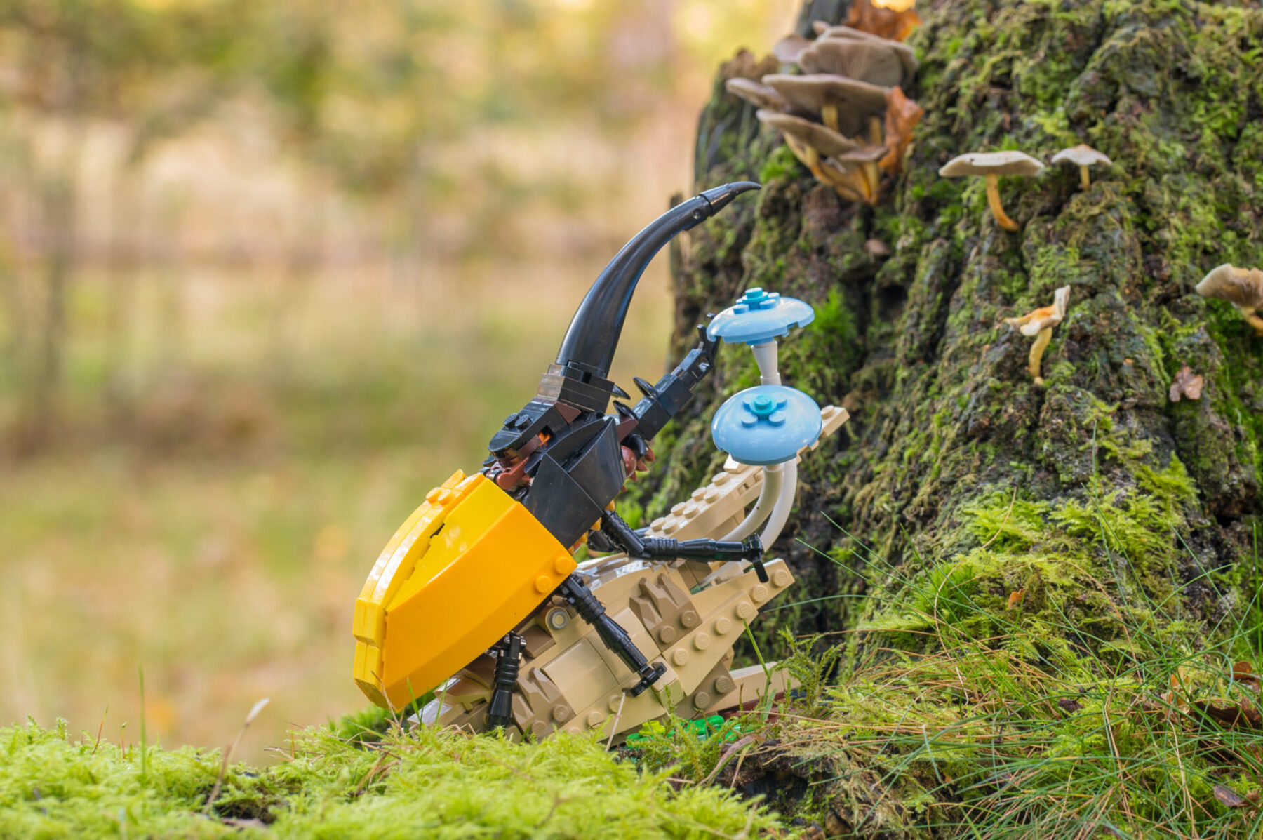 Exploring the Realm of Insects with LEGO Ideas Insect Collection 21342 ...