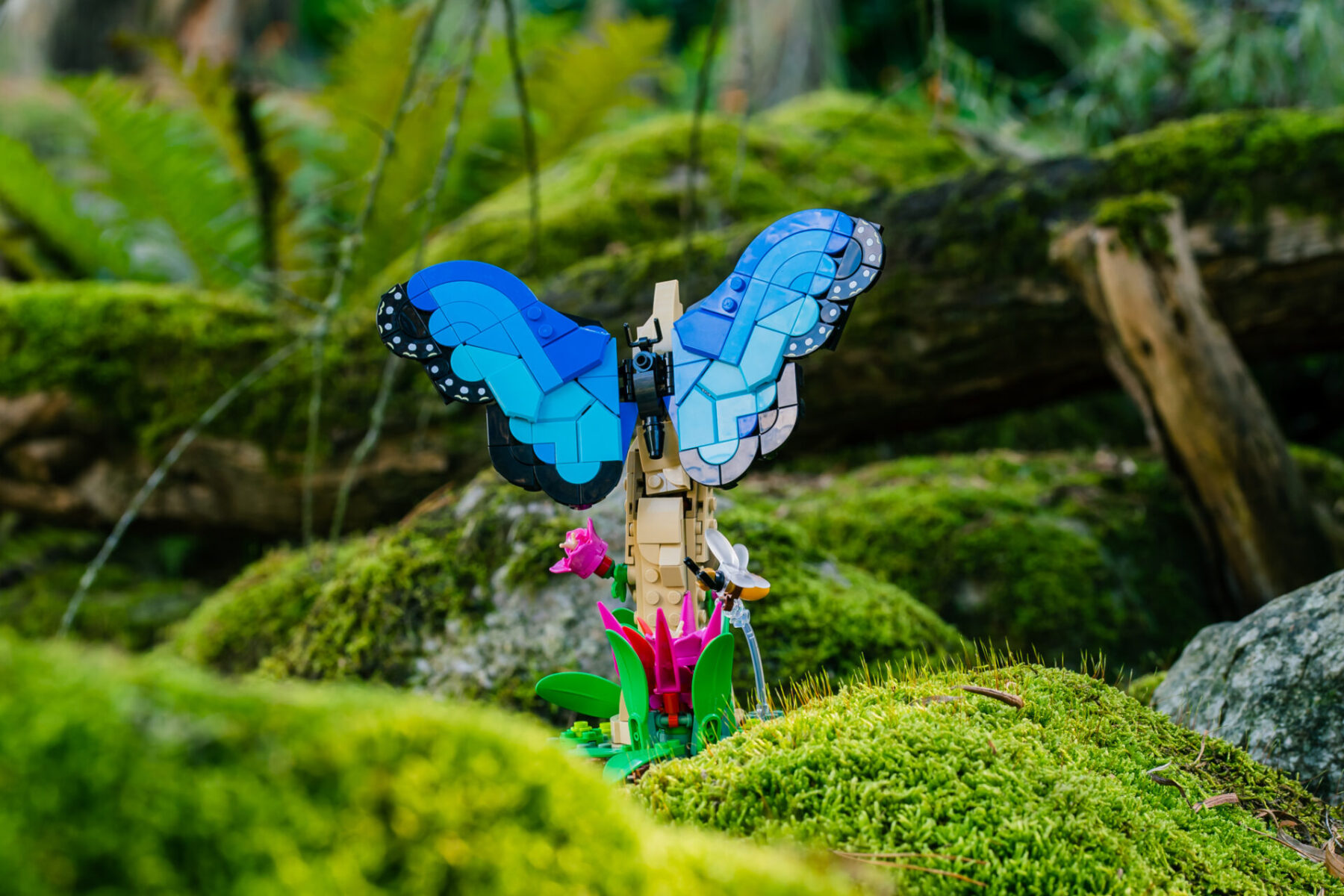 Exploring the Realm of Insects with LEGO Ideas Insect Collection 21342 ...