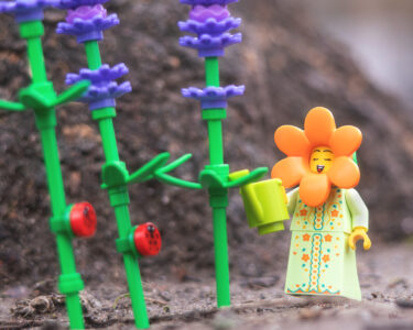 LEGO Spring BAM (Build-a-minifigure) 2026 - BrickCentral